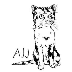 AJJ: The Playlist - playlist by AJJ | Spotify