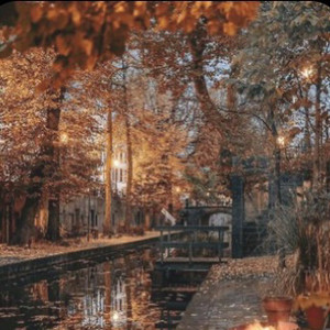 Autumn aesthetics 🍂🍁 - playlist by Aimee | Spotify