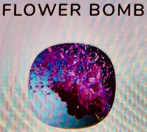 Flower Bomb Fridays presents The Foreign Exchange I ClubHouse 020521 ...