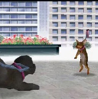 taking my nintendogs on a walk - playlist by max | Spotify