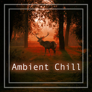 Ambient Chill - playlist by Nevermind | Spotify