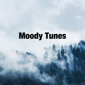 Moody Tunes - playlist by musicforyourears | Spotify