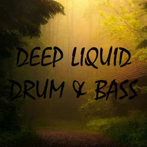 Deep Liquid Drum & Bass - playlist by Matt Horton | Spotify