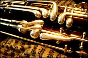 Bassoon Solo Repertoire - playlist by Zachary Keyes | Spotify