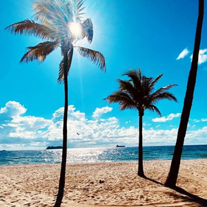 Florida 🥳🏝 - playlist by Ashleighpaigeeee | Spotify
