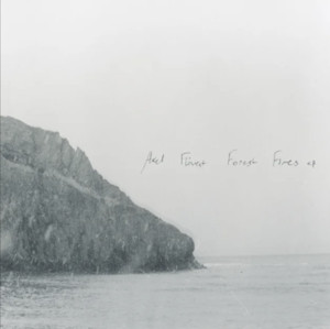 Forest Fires - playlist by Erin | Spotify
