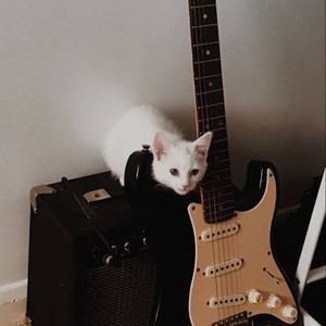 1204 • i loaf u - playlist by Slapur | Spotify