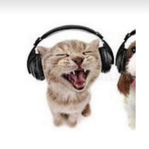 top🔝 - playlist by jugwa | Spotify