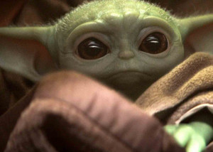 Lil yoda - playlist by hq | Spotify