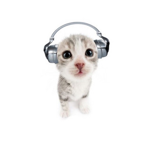 squeaky clean orientation jams - playlist by zophronia | Spotify