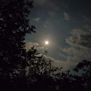 3AM Vibes🫶🏼 - playlist by Yashashree ♡ | Spotify