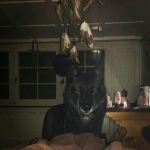 Alex G Playlist By тше Spotify