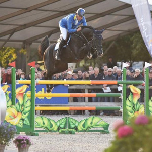 Show jumping vibes - playlist by ale | Spotify