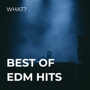 EDM HITS OF THIS DECADE - playlist by WHATMUSIC | Spotify