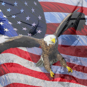 AMERICA RAAHHHHH🇺🇲🇺🇲🇺🇲🦅🦅🦅🦅 - playlist by Jack | Spotify