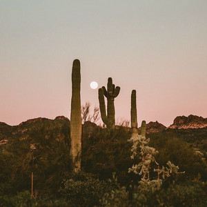 all my rage - playlist by emma and adyn | Spotify