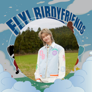 Fly! Birdy Friends #1 x 17th Heaven - playlist by SEVENTEEN BILLBOARD ...