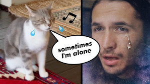 The Kiffness x Lonely Cat - Sometimes I'm Alone (Singing Cat ...