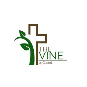 The Vine Song List - playlist by Neil Carter | Spotify