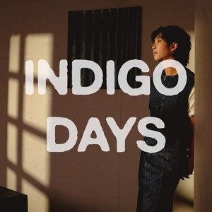 INDIGO DAYS - playlist by rkiveplaylists🪴 | Spotify