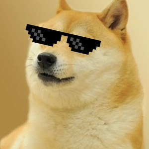 Doge songs - playlist by Jean | Spotify