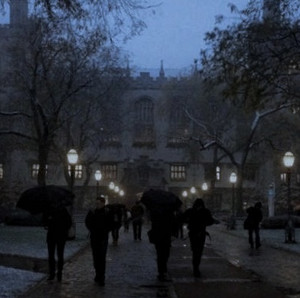 studying in an old library in the melancholic rain (dark academia ...