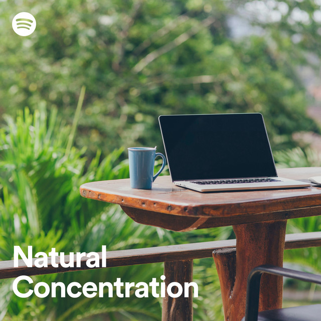 Natural Concentration | Spotify Playlist