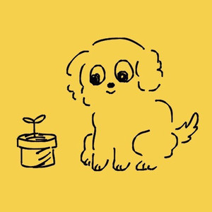 Rachel Bonn on Spotify