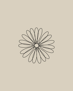 Daisy Road on Spotify