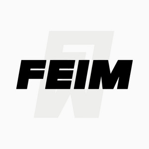 FEIM on Spotify