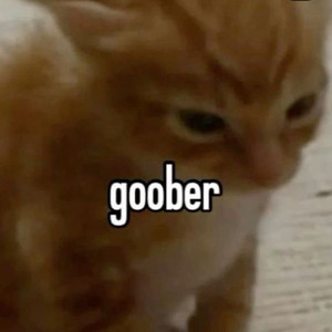 Goober on Spotify