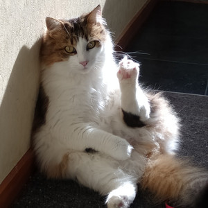 Mickaela