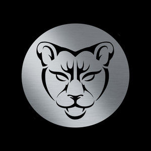 LEO33 on Spotify