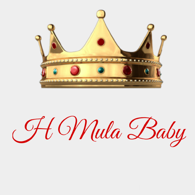 BPM and key for songs by H Mula Baby | Tempo for H Mula Baby songs ...
