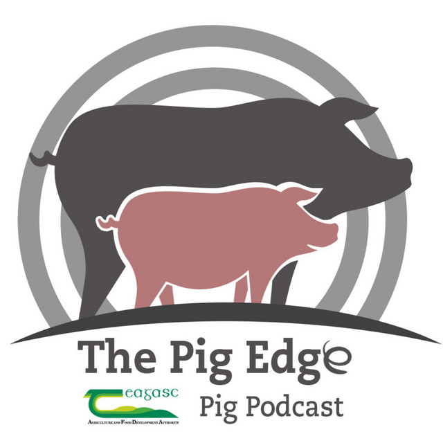 The Pig Edge | Podcast on Spotify