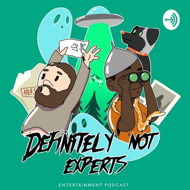Definitely Not Experts | Podcast on Spotify