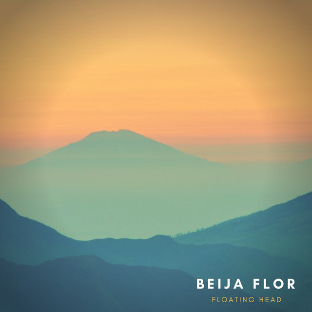 BPM and key for Acid Night Shift by Beija-Flor | Tempo for Acid Night ...