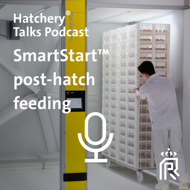 Hatchery Talks - Interview SmartStart™ Post-hatch feeding - Hatchery ...