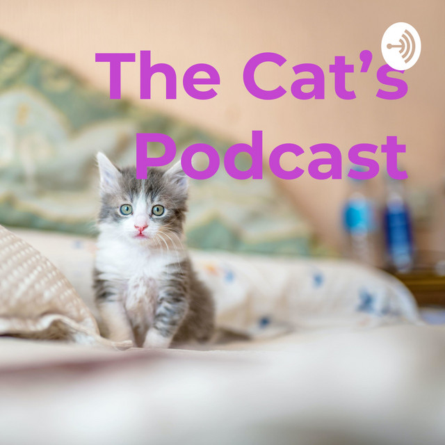 The Cats Podcast | Podcast on Spotify