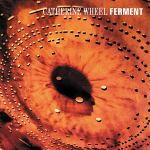 Black Metallic, a song by Catherine Wheel on Spotify