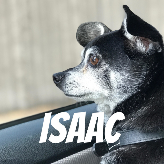Isaac | Podcast on Spotify