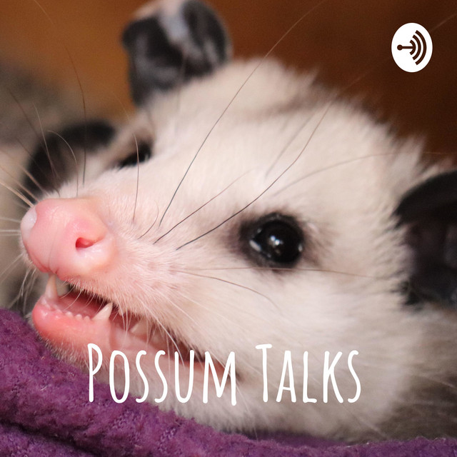 Possum Talks | Podcast on Spotify