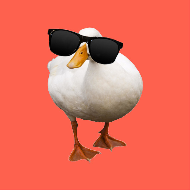 Duck Tapes | Podcast on Spotify