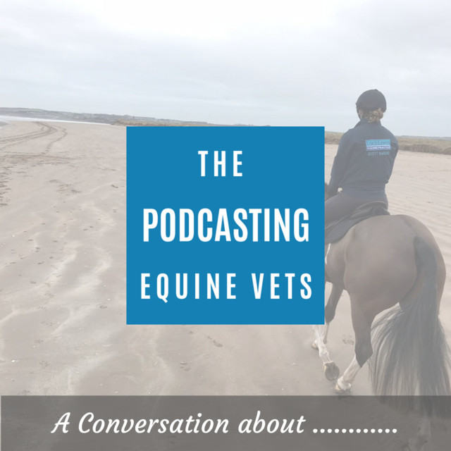 The Podcasting Equine Vets | Podcast on Spotify